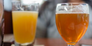 What is an IPA Beer? - The Beer Babe