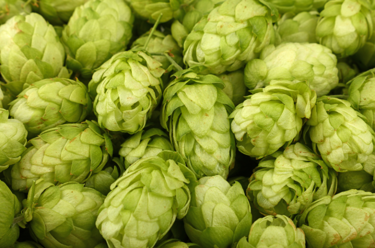 What is a DIPA (Double IPA) Beer? A Heavenly Hop-driven Ale
