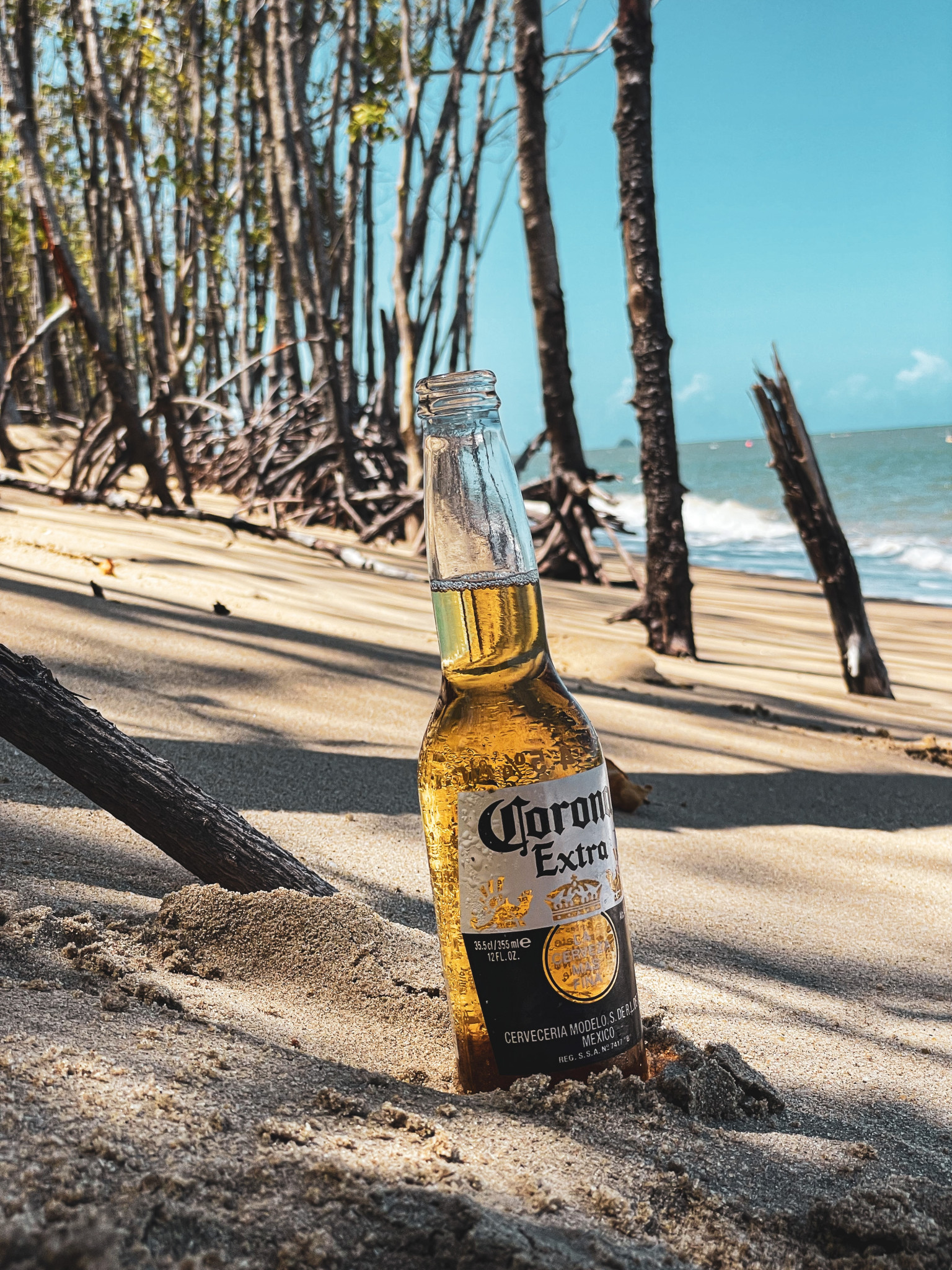 What does Corona Extra Taste Like (And is it a good beer)?