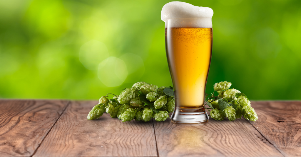 What Is IBU in Beer? And Why Does it Matter?