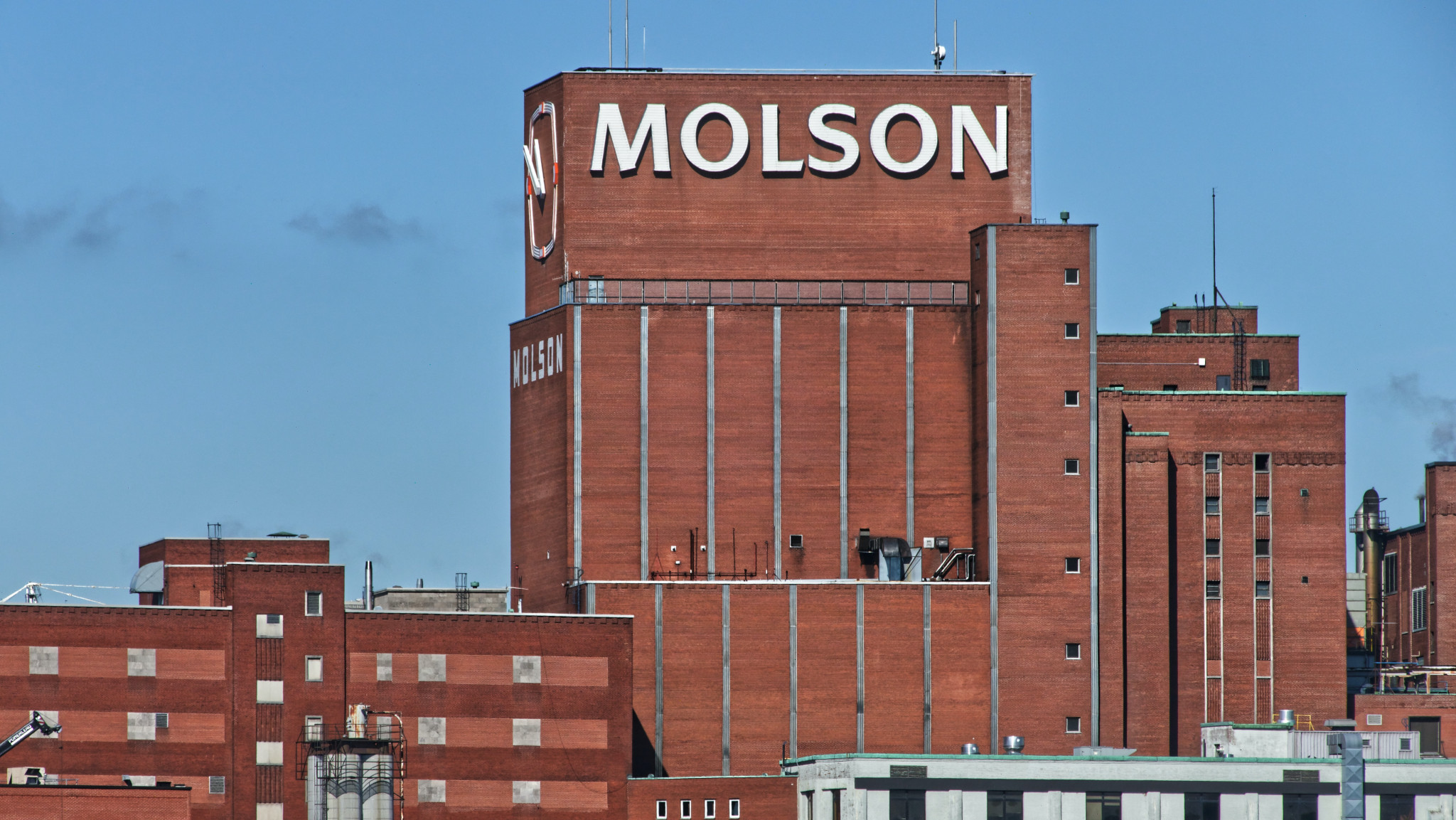Which Beers Are Not Made By Anheuser Busch: Updated 2026 List
