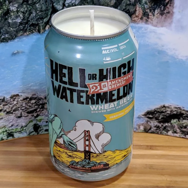 The 15 Best Fruit Beers to Try: 2025 Taste Test