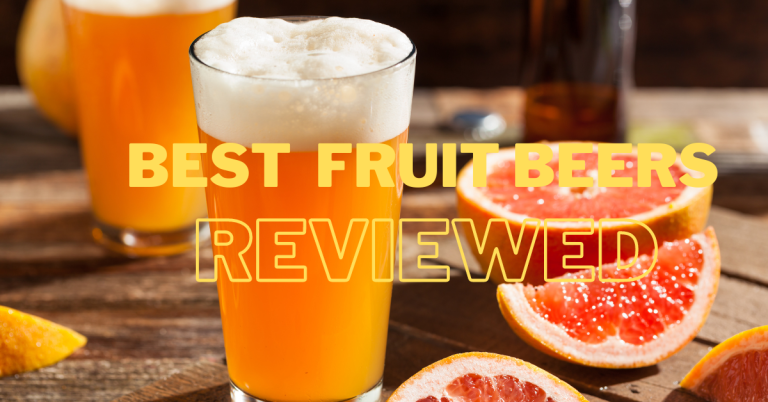 The 15 Best Fruit Beers to Try: 2025 Taste Test